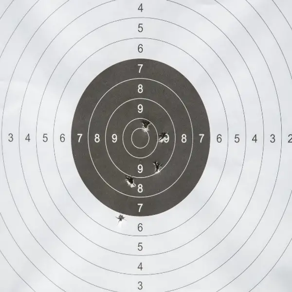 Air Gun Targets Used in Competition - AirgunRanger.com