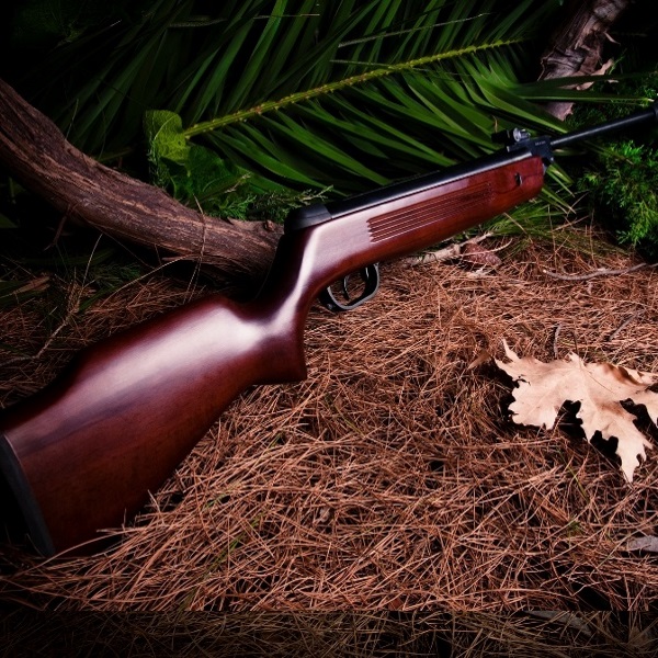 How Powerful are Crosman Airguns? - AirgunRanger.com