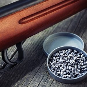 Why Pellet Guns Are a Great Choice For Kids - AirgunRanger.com