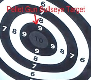 Pellet Gun Games for Beginners - AirgunRanger.com