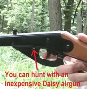 Are Daisy Air Guns Good for Hunting? - AirgunRanger.com